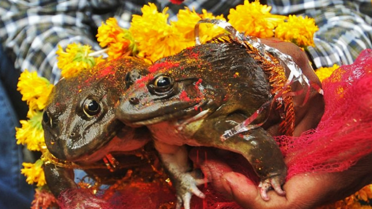 भ्यागुताको झ्याइँझ्याइँ बिहेपछि नभन्दै झमझम पानी पार्न थाल्यो जनबोली ...